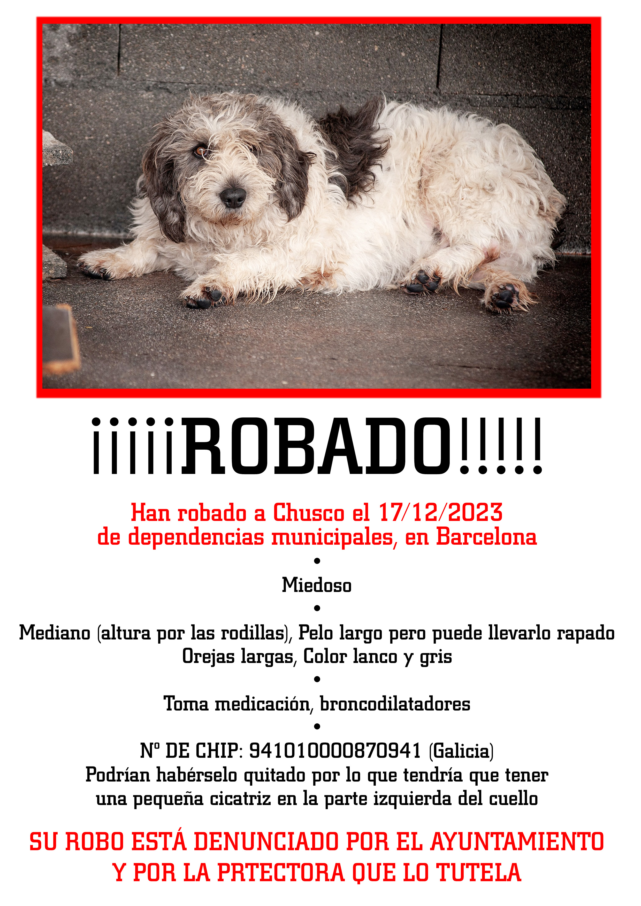 PERRO ROBADO | Colegio Oficial de Veterinarios de La Rioja